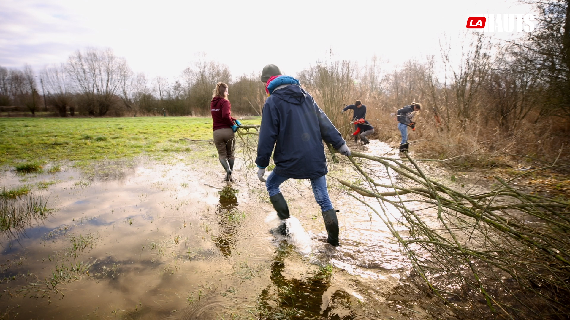 Déboiser pour la nature - La-Hauts